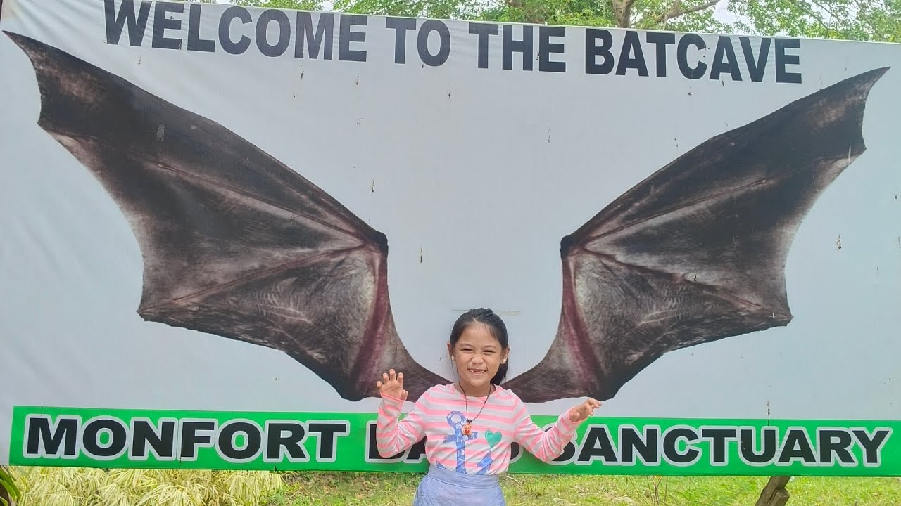 Monfort Bat Sanctuary Tour,Samal Island, Davao del Norte - YouTube