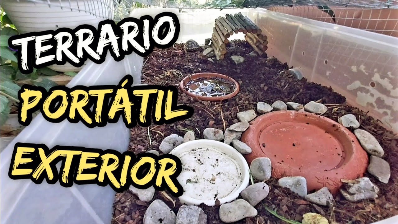 como hacer terrario exterior portátil para tortugas babys - YouTube