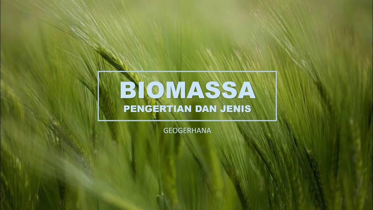 Biomassa Pengertian Dan Jenisnya Youtube
