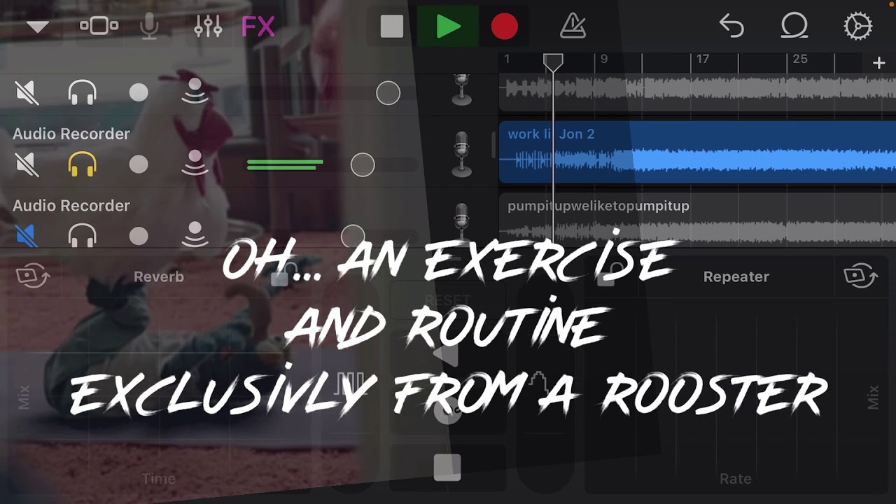 “work that body, work those hips” the Rooster’s take on Exercise? - YouTube