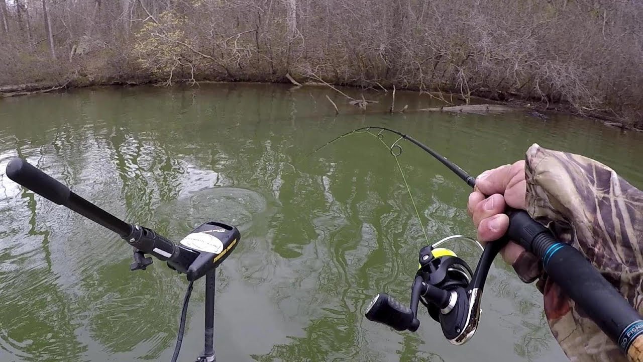 How To Catch Crappie Off Of Treetops Youtube
