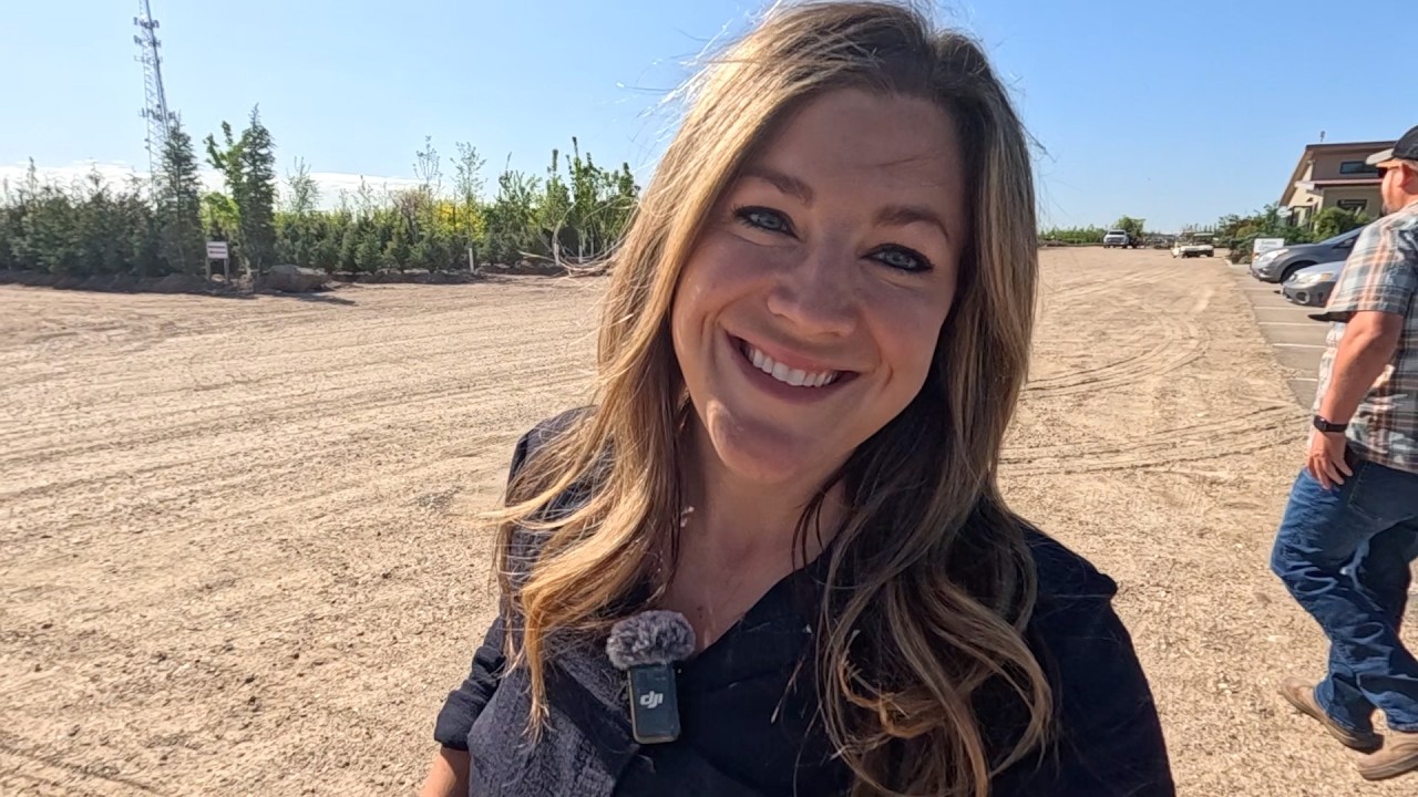 Garden Errands: Tree Shopping, Bricks for the Entry Pillars & Tilapia ...