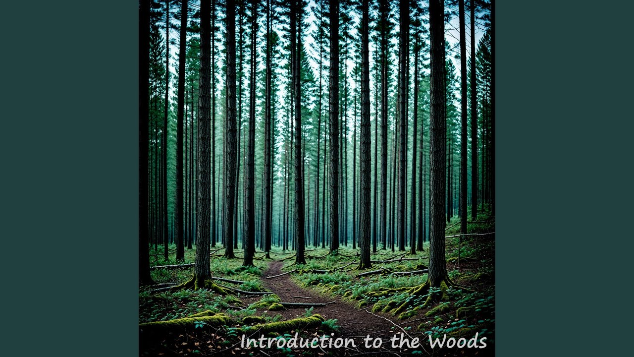 Introduction to the Woods - YouTube
