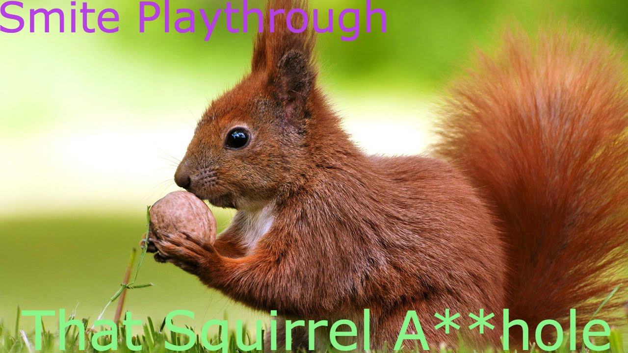 Smite!! THAT SQUIRREL ASSHOLE - YouTube