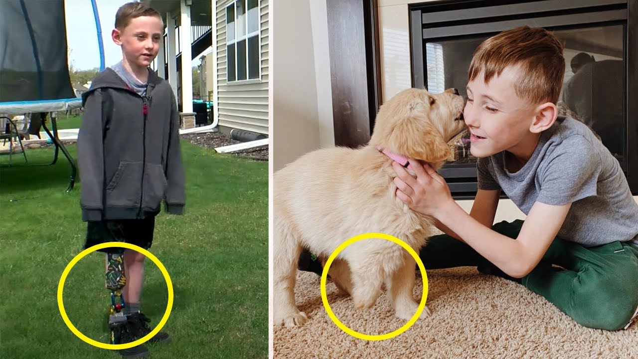 A Boy With A Limb Difference Just Adopted A Puppy With 3 Paws - YouTube