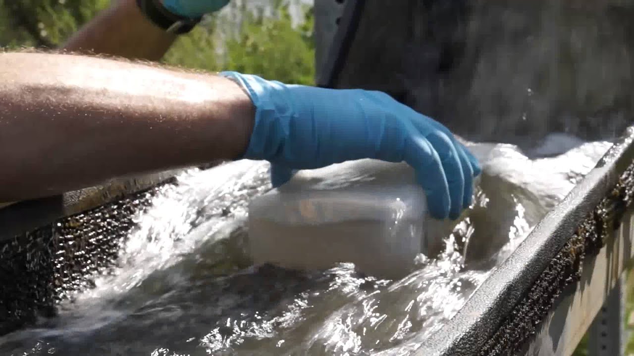 Algal Turf Scrubber Pilot Project Durham, NC - YouTube