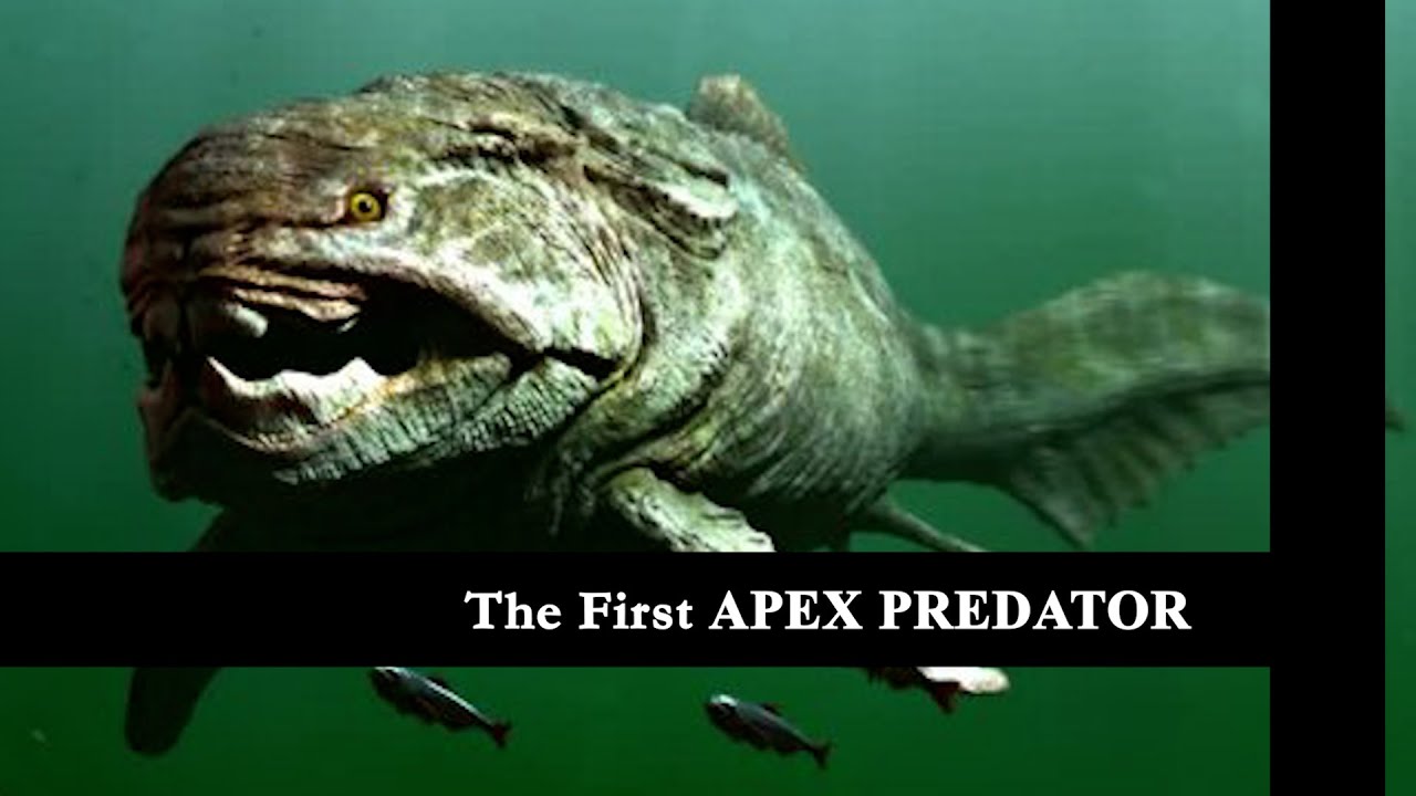 The Rise and Fall of Armored Fish - YouTube