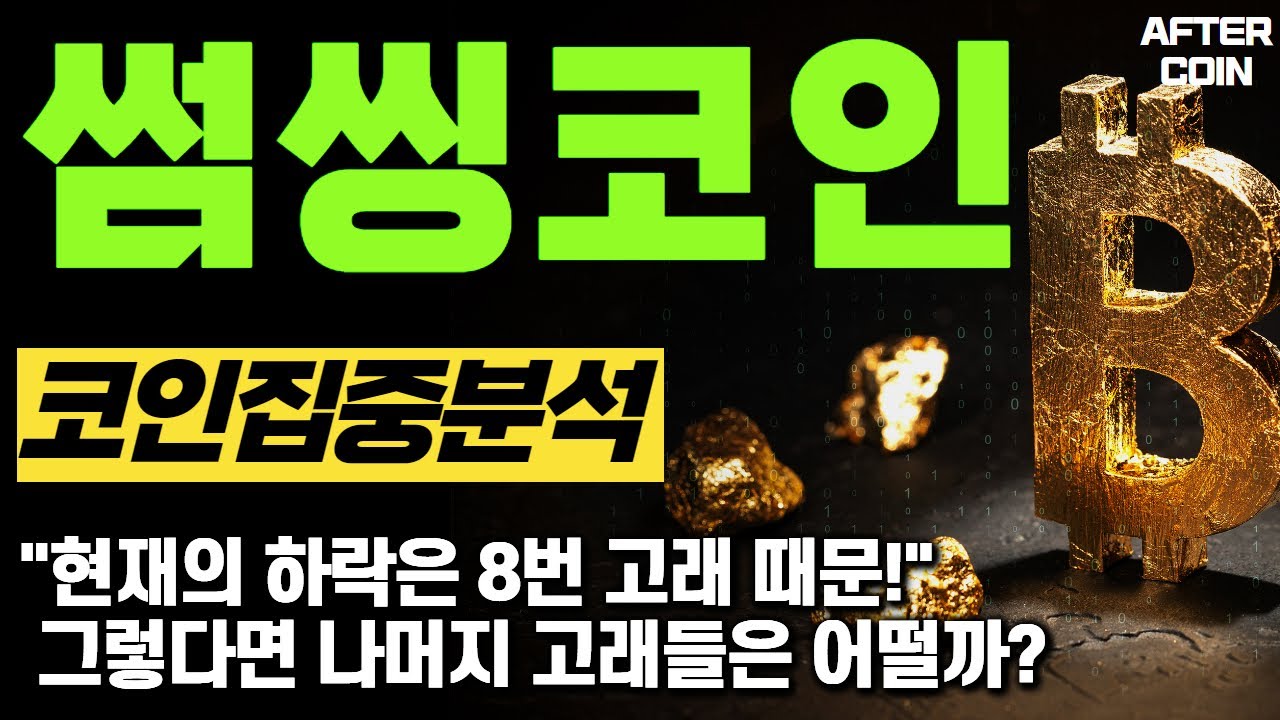 썸씽코인 전망 현재의 하락은 8번 고래 때문 그렇다면 나머지 고래들은 어떨까 썸씽코인분석 썸씽코인전망 썸씽코인