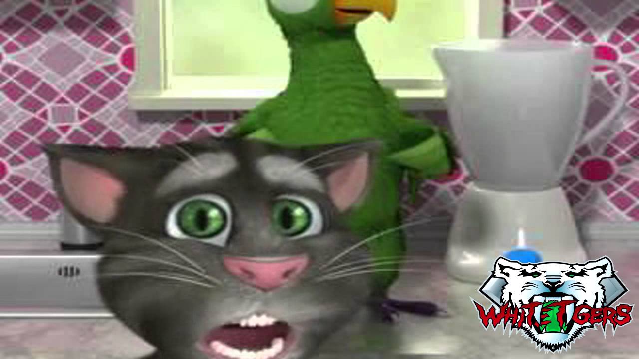 TALKING PIERRE YOUTUBE POOP [YTP] - YouTube