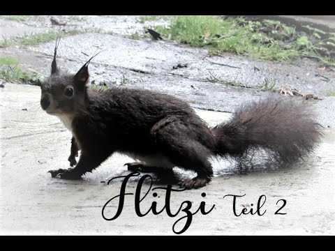 Flitzi Teil 2 - YouTube