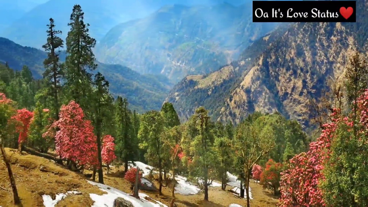 The Land Of God🙏 Devbhoomi Uttarakhand 🙏Jai Devbhoomi Jai Uttarakhand 🙏 ...