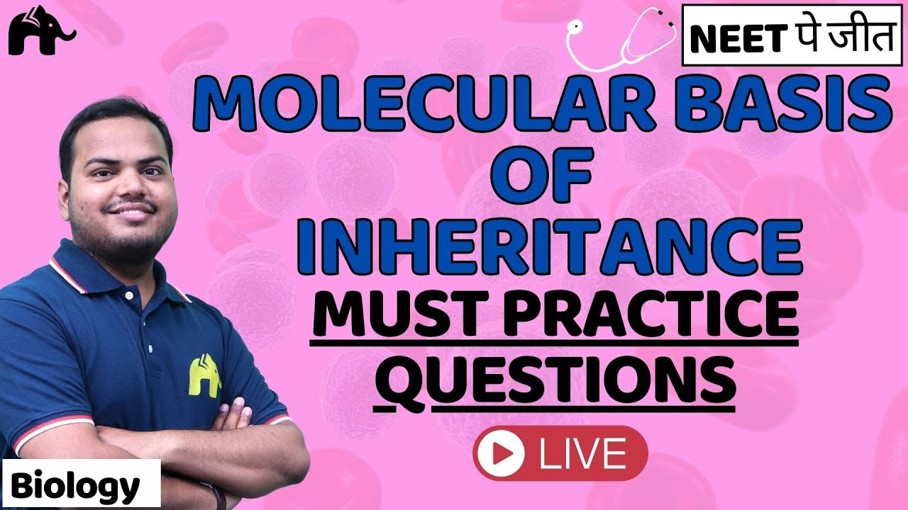 Molecular Basis of Inheritance Class 12 Biology | Must Practice ...