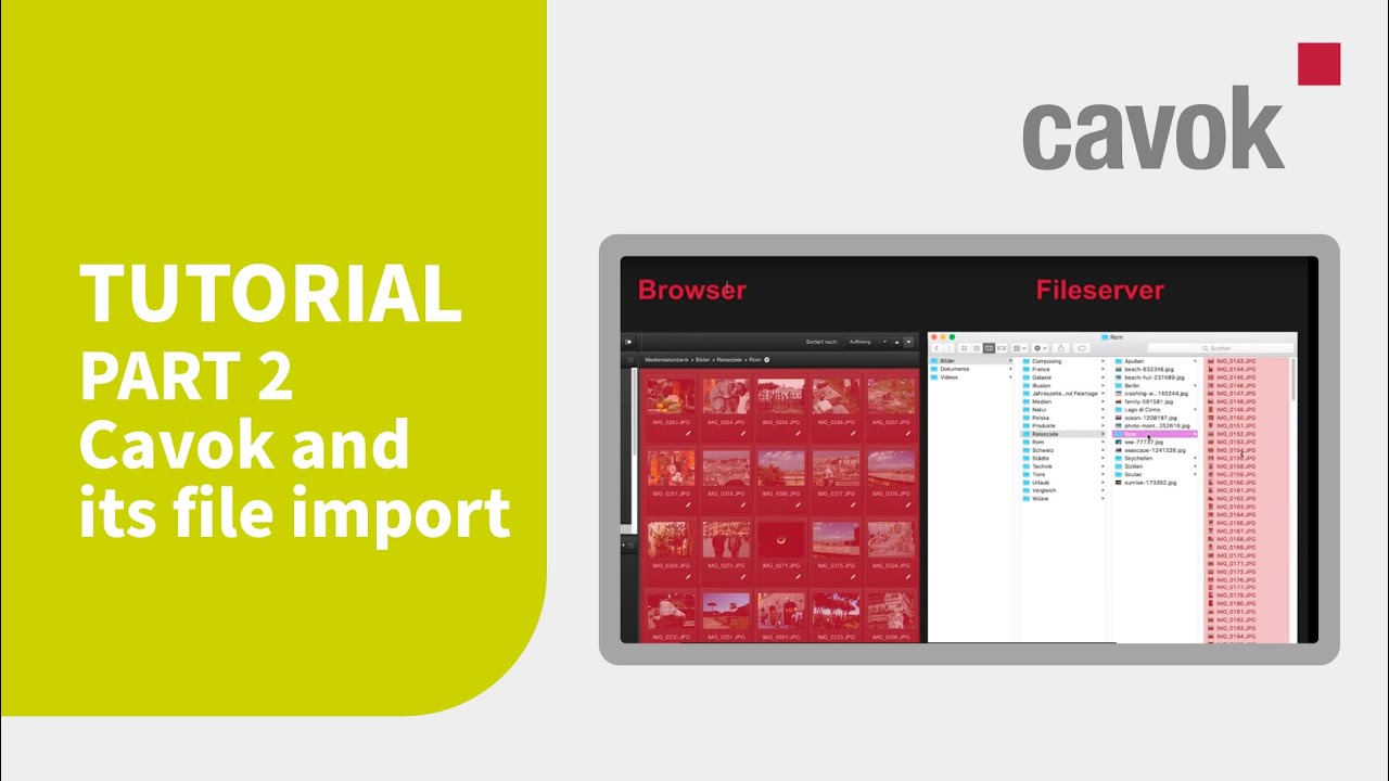 Digital Asset Management: Cavok and its file import (Tutorial) - YouTube