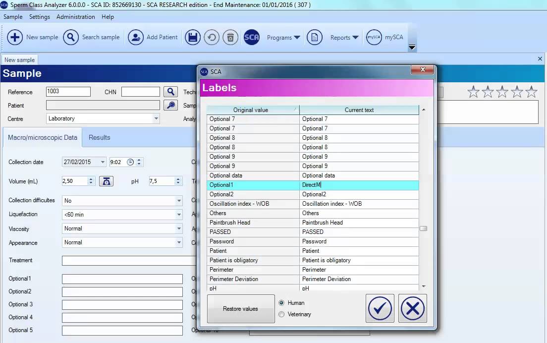 SCA Tutorial - Modify the words of the program/report - YouTube