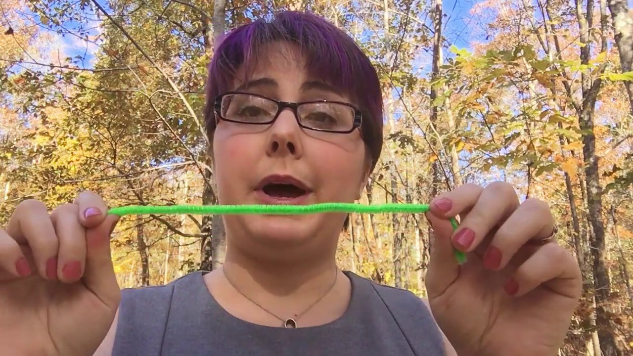 Cynthia Rosenfeld: Teaching Philosophy - YouTube