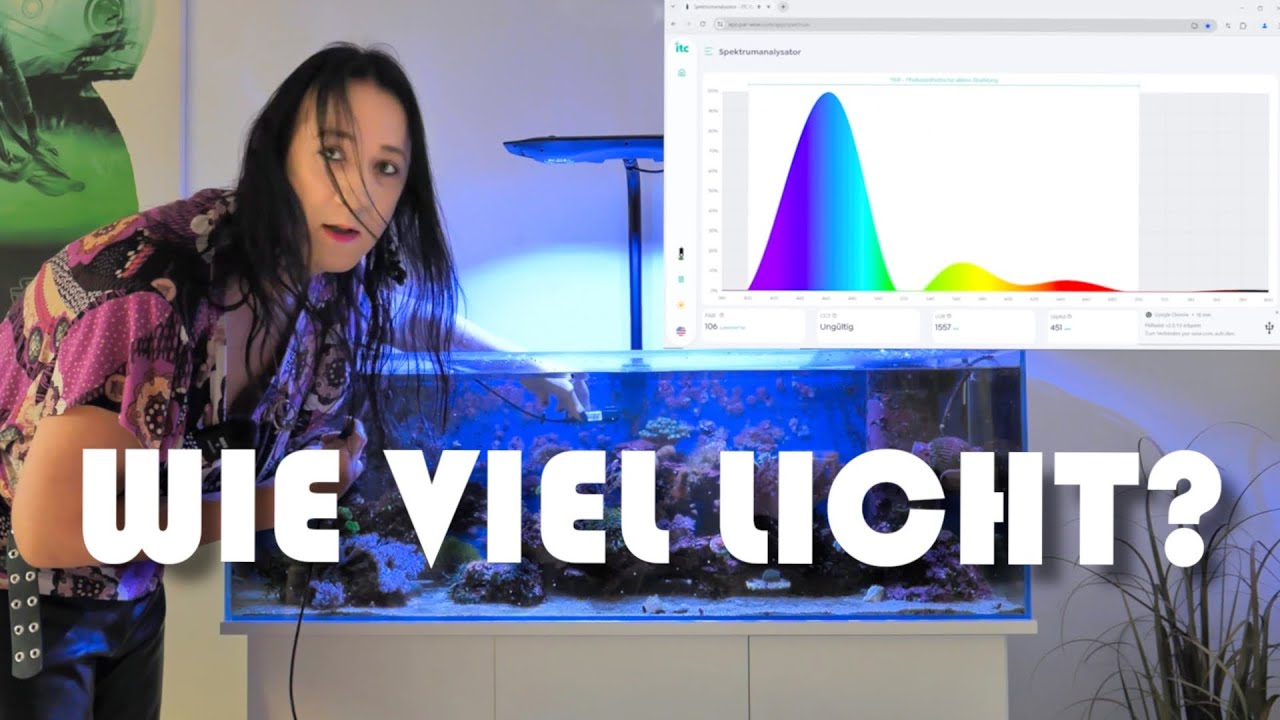 Kessil AP9X nach 6 Monaten (PLUS) Lichtmessung! (PAR) | NordicMoor ...