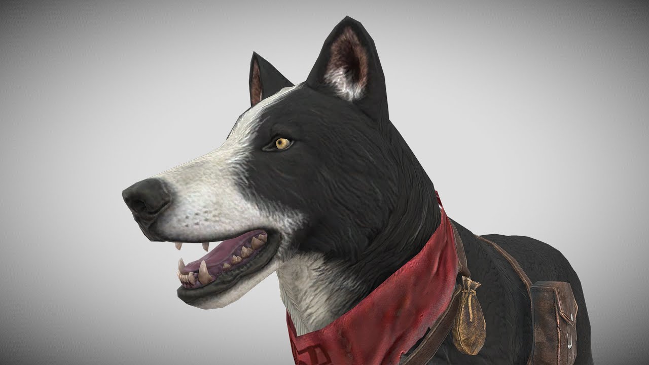 Eri, Barking Banker ∣ ESO › Creatures › Animals - YouTube