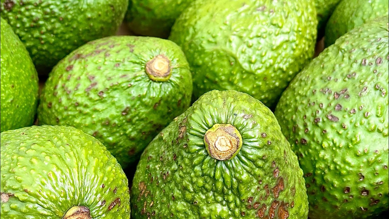 🔴#EnVivo | El Municipio de #Herveo Tolima realiza su Primera Feria ...