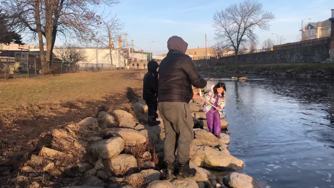 Fishing at Beaver Dam 2019 - YouTube