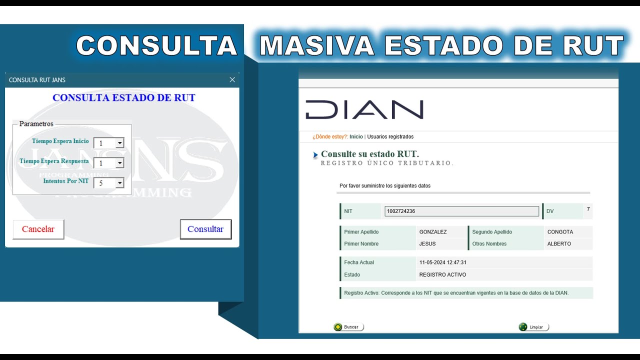 CONSULTA MASIVA RUT NIT DIAN EXOGENA - YouTube