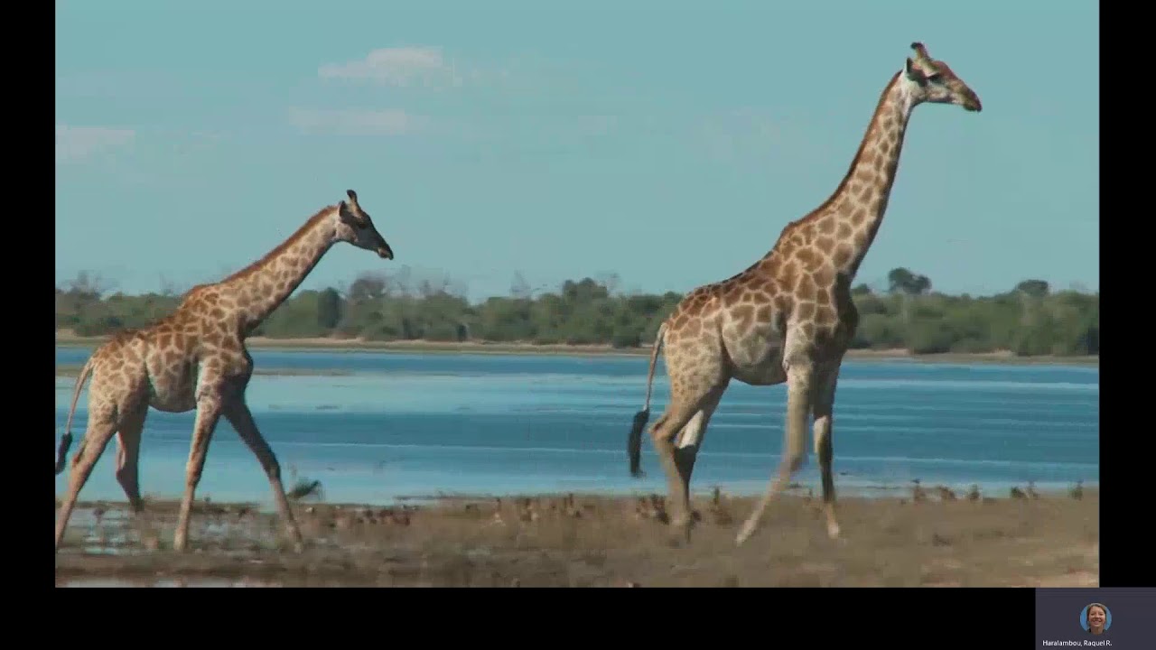 Comparing Plants and Animals - YouTube