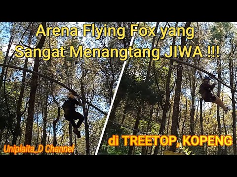 Arena Flying Fox yang sangat Menantang Jiwa di Treetop - YouTube