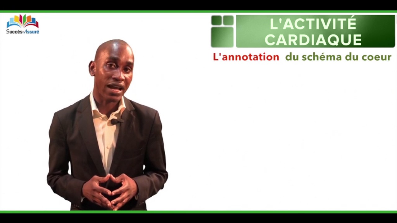 L'activité cardiaque - YouTube
