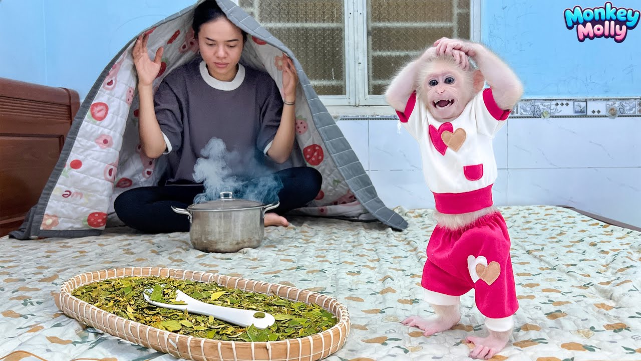 Monkey Molly was surprised when she first saw Mom steam shower - YouTube