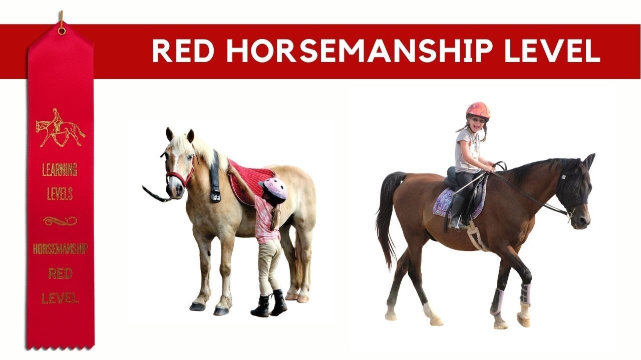 What is Red Level Horsemanship? - YouTube