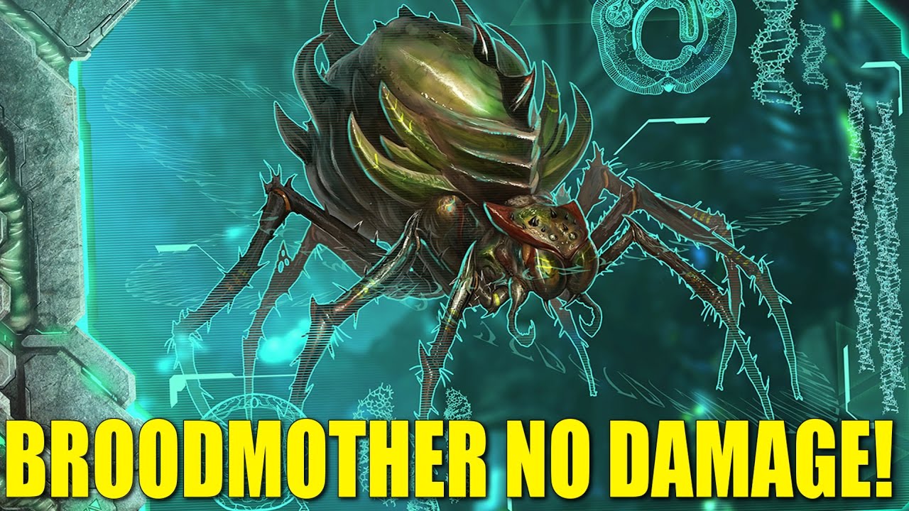How to Beat Broodmother No Damage! (Pvp Tribe Life) - Ark:survival ...
