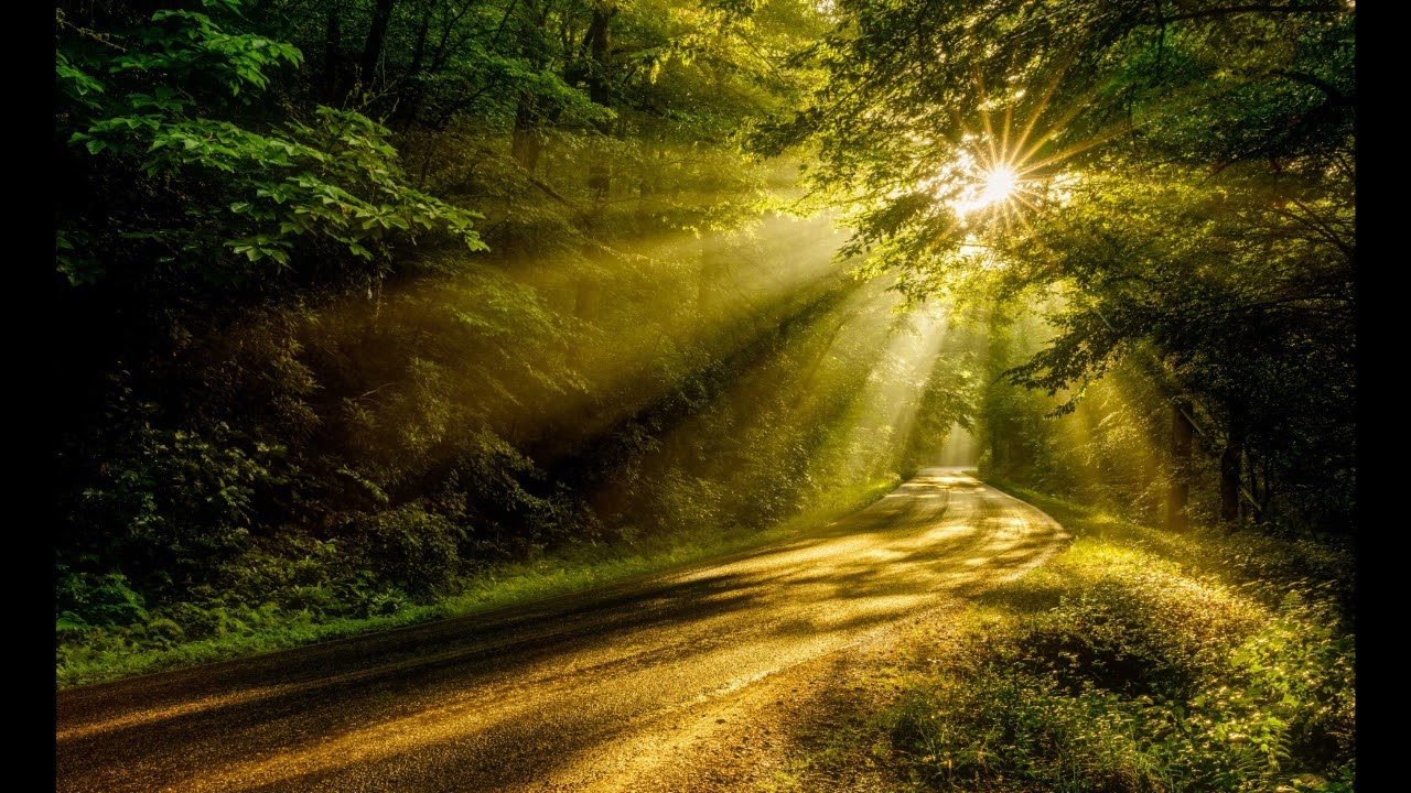 Muzica de relaxare pentru intreaga zi. Muzica relaxanta în natura cu ...