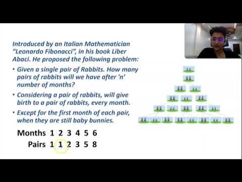 Fibonacci Sequence Demo - YouTube