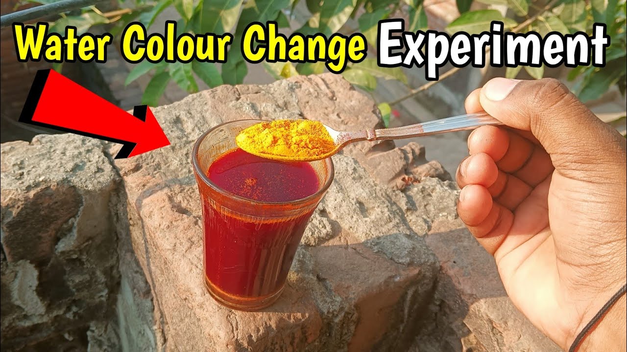 Water with Turmeric Colour Change Experiment | Mr. Ninja - YouTube