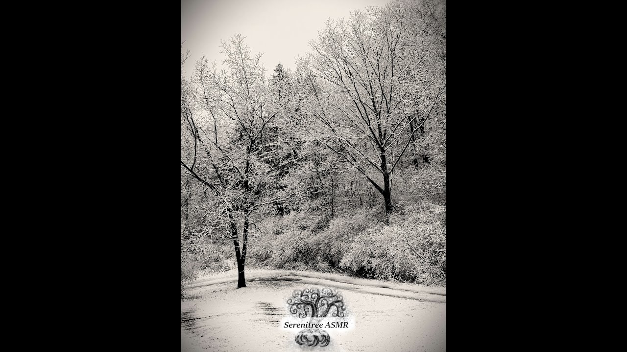 5-Minute Meditation - Snowy Cottage - an ASMR Guided Meditation - YouTube