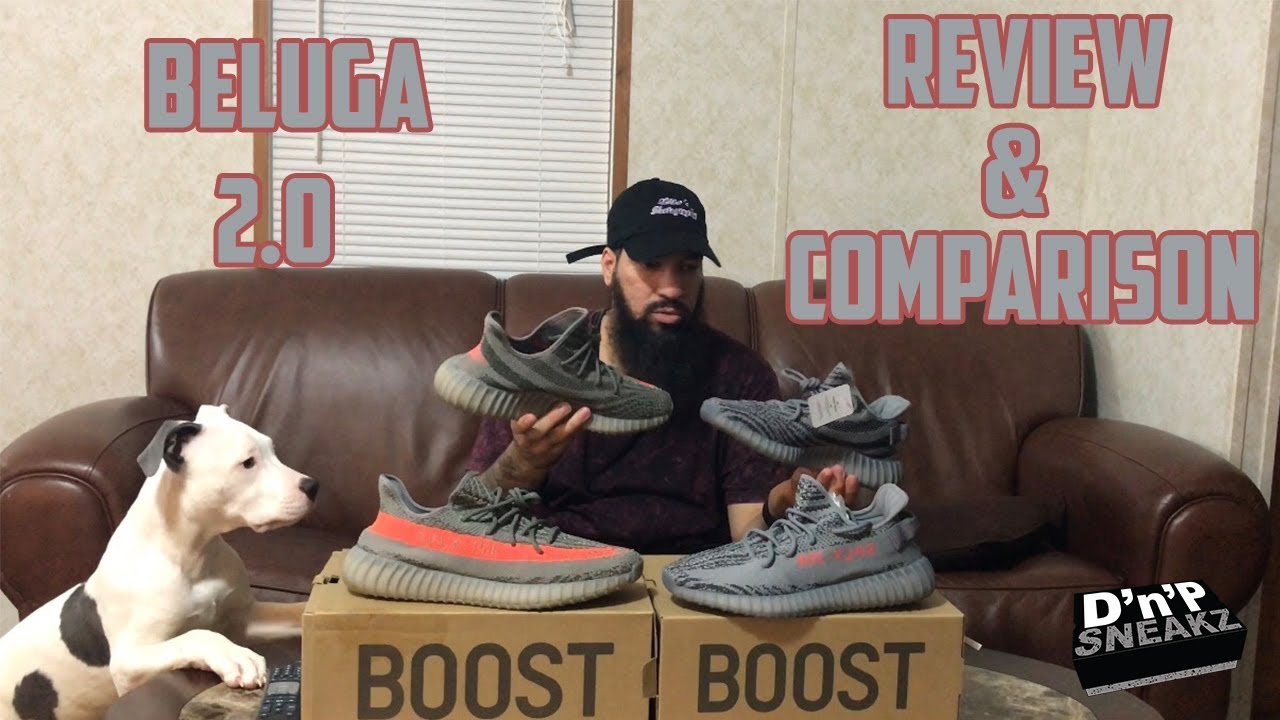 Beluga 2 0 Review & Comparison - YouTube