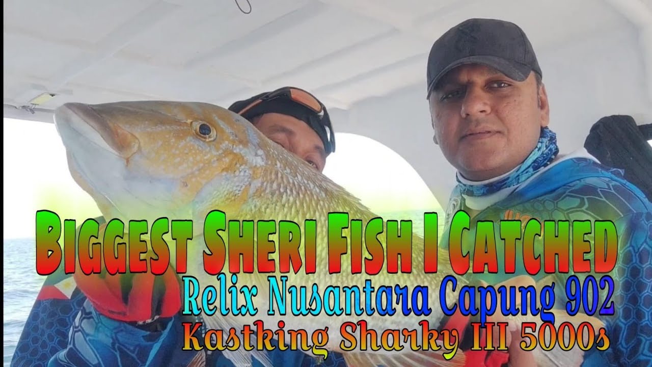 A Monster SHERI FISH I catched 🎣🐟 - YouTube