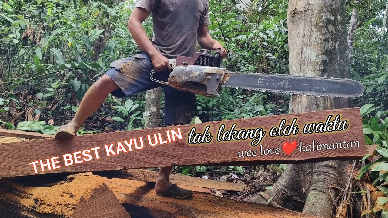 KAMI MEMBUAT PAPAN TEBAL DARI KAYU ULIN BERKUALITAS TINGGI - YouTube