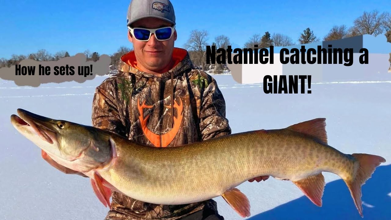 Giant Musky through the ice! #icefishing #musky - YouTube