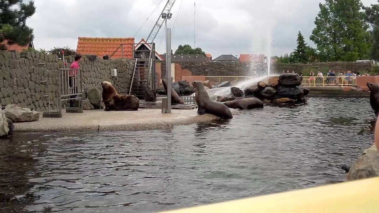 Dolfinarium 06 - YouTube