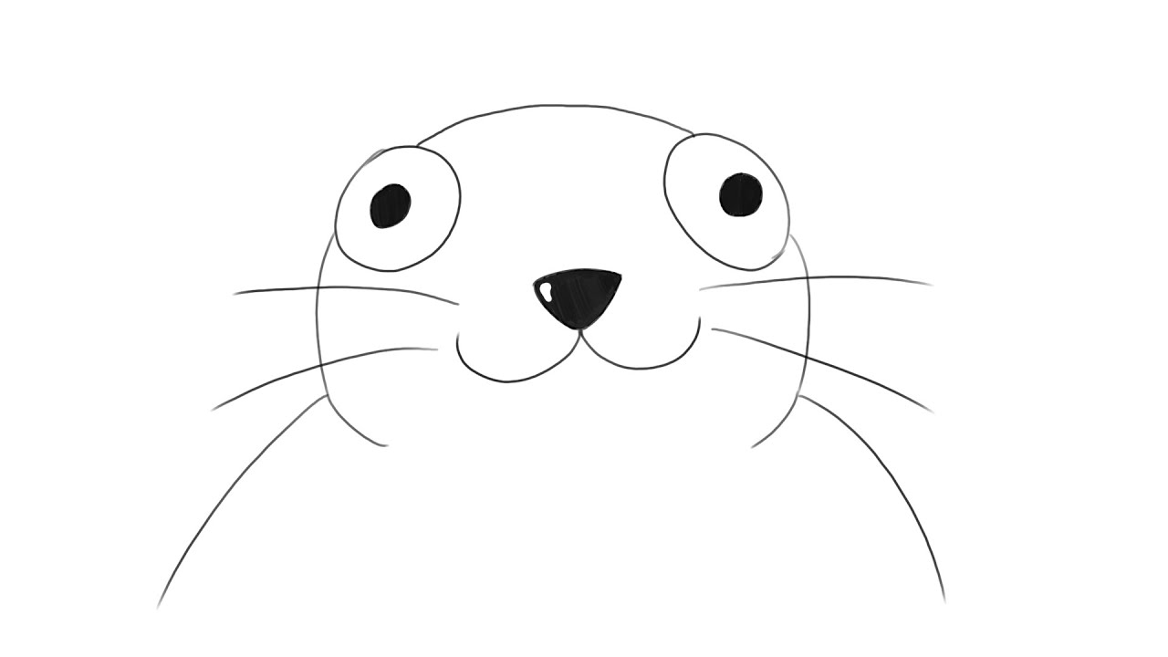 Random Seal - YouTube