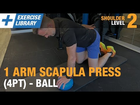 S2 | 1 Arm Scapula Press (4pt) - Ball - YouTube