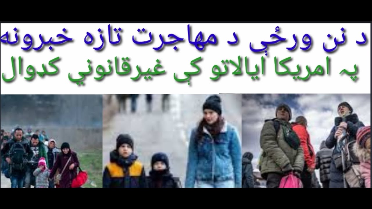 usa donkey usa donkey video usa donkey border crossing usa donkey 2023 ...