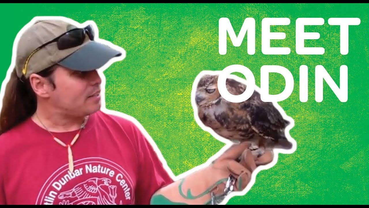 Meet Odin! - YouTube