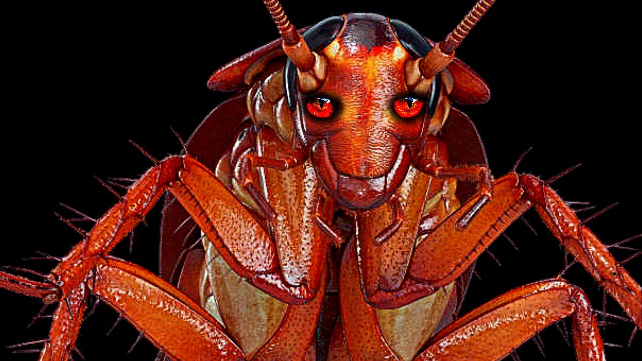 [3 random games]-I Am Not Staying At This ROACH INFESTED Hotel - YouTube