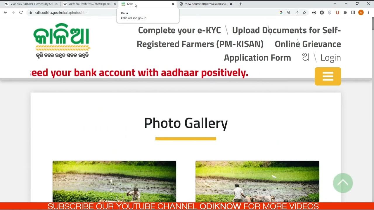 learn html in odia : title tag in html | basic html course in odia | html tutorial for beginners ...