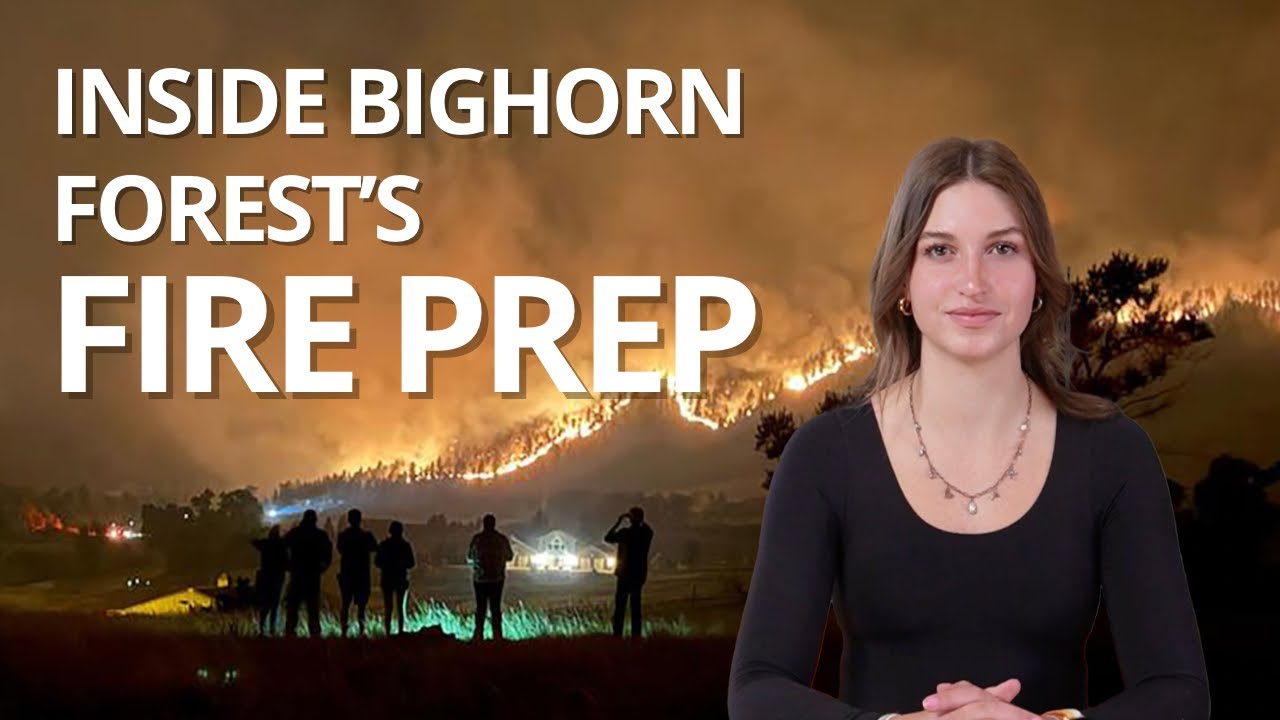 Bighorn National Forest prepares for fire season after 98,000-acre ...