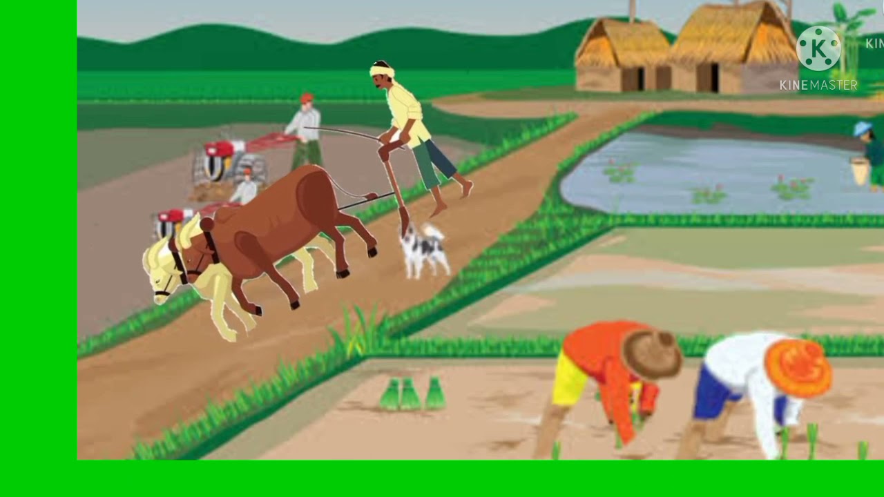 Farmer Doing Farming Greenscreen - YouTube