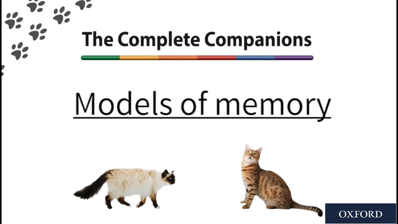 The Complete Companions: Models of Memory - YouTube