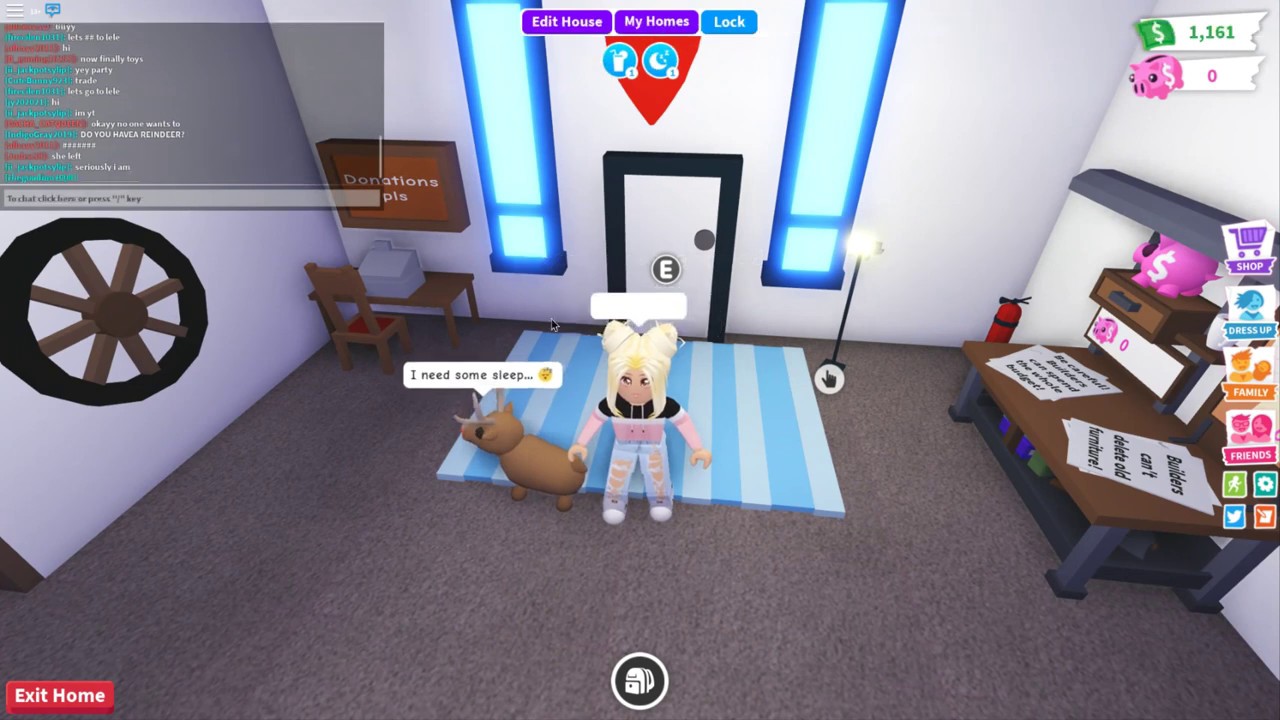 My stats in Adopt Me! Showing All My pets, Vehicles and Strollers ...