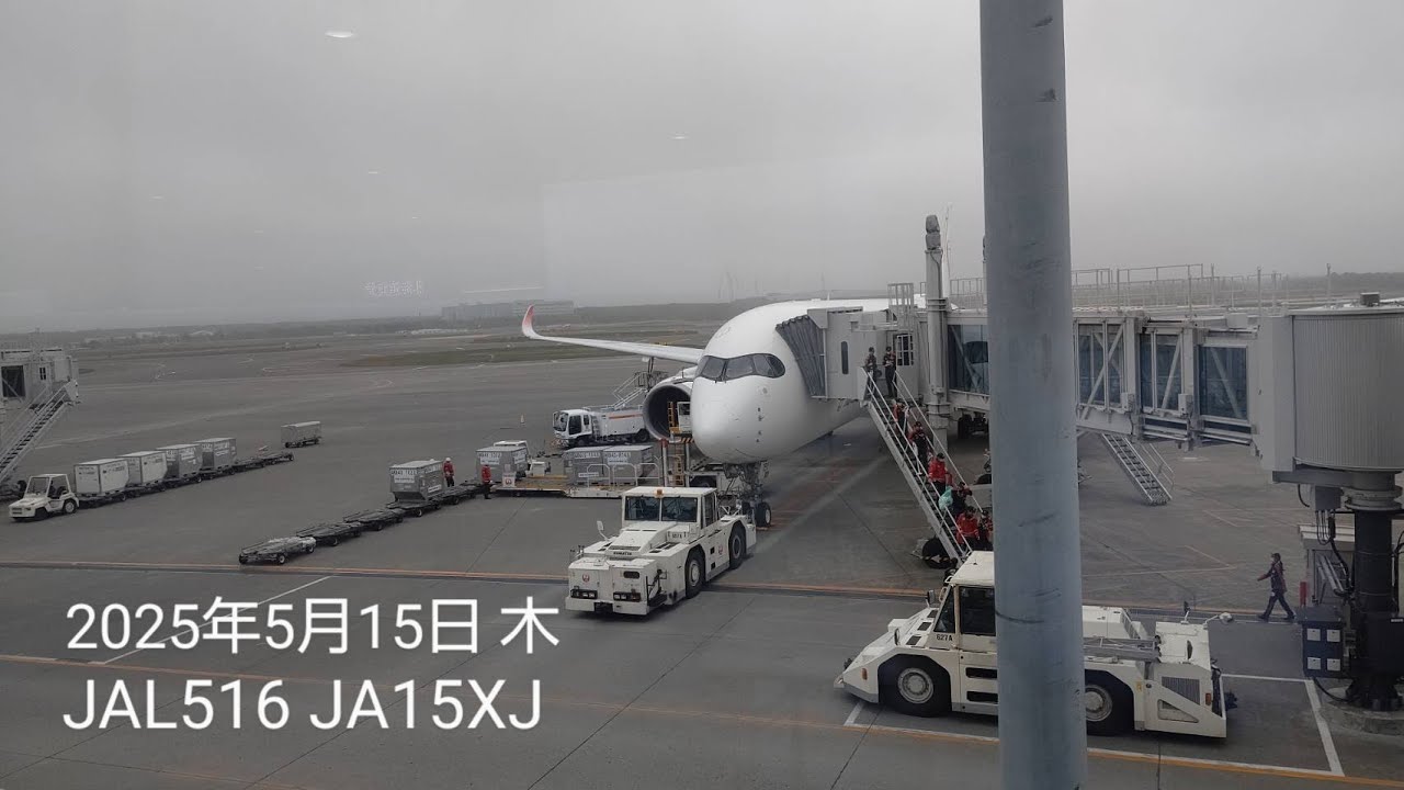 札幌新千歳空港ランウェイ19R離陸 JAL516便 A350-900 JA15XJ（特別塗装機） JAL搭乗172回目 - YouTube